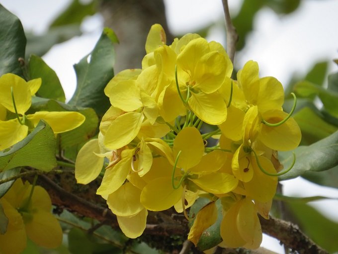 Below is a selection of images from around Moors Meadow. Please click ...