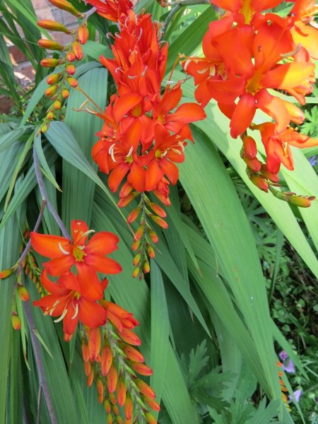 Below is a selection of images from around Moors Meadow. Please click ...